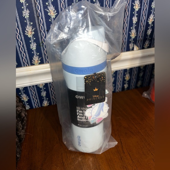 owala | Dining | Owala Disney Princess Collection Cinderella | Poshmark